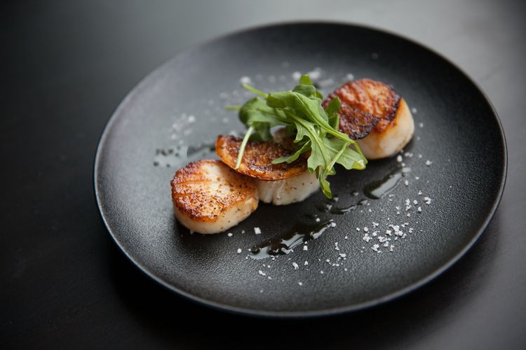 Cara Agar Scallop Tetap Segar dan Tahan Hingga berbulan-bulan - Sewa ...